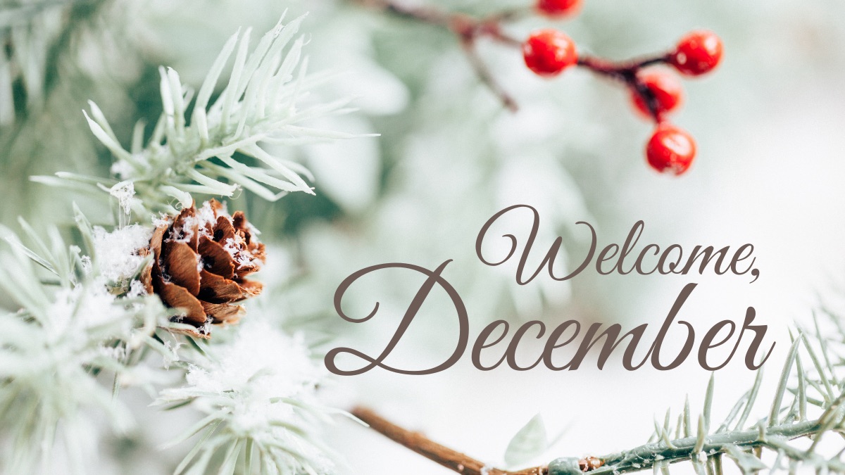 winter pine cone berries – 1 – RANDOM Times